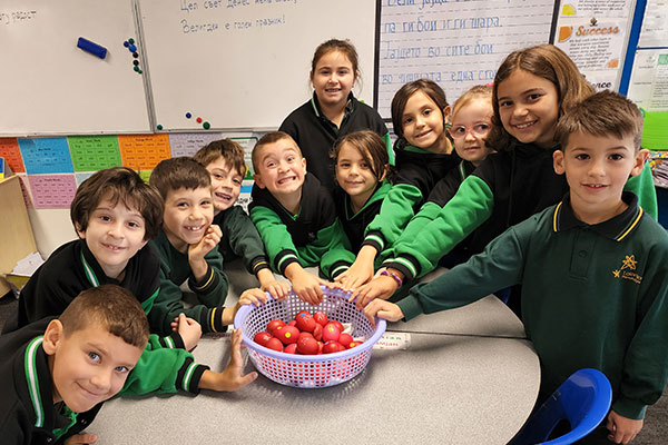 Macedonian Bilingual Curriculum Program - Lalor North Primary School